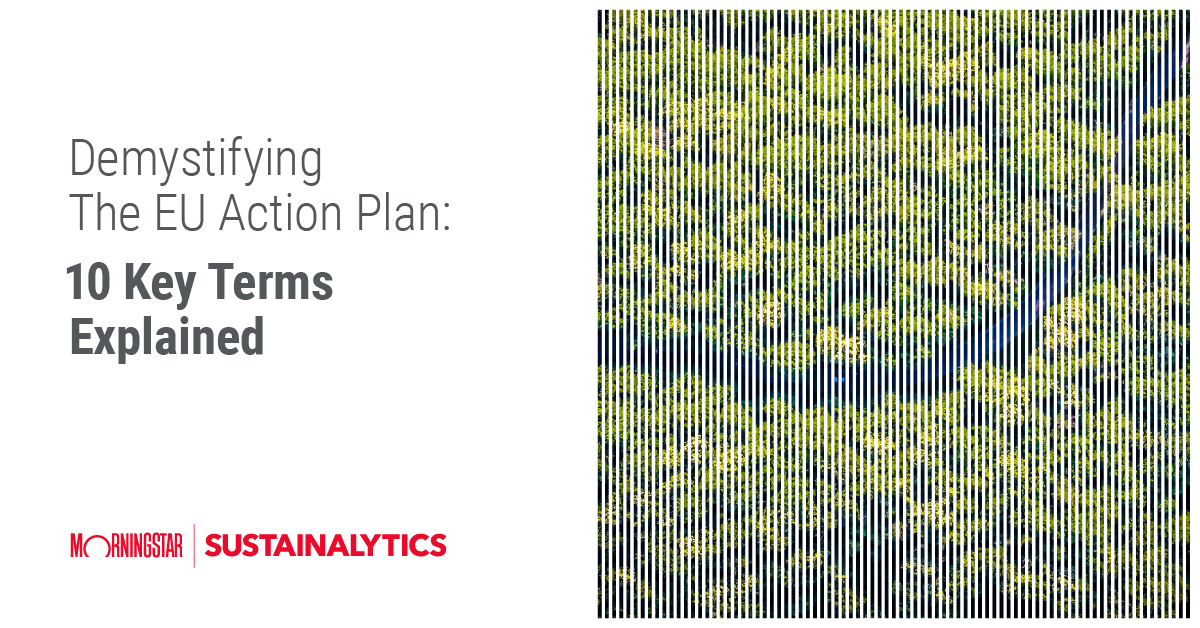 Demystifying the EU Action Plan: 10 Key Terms Explained