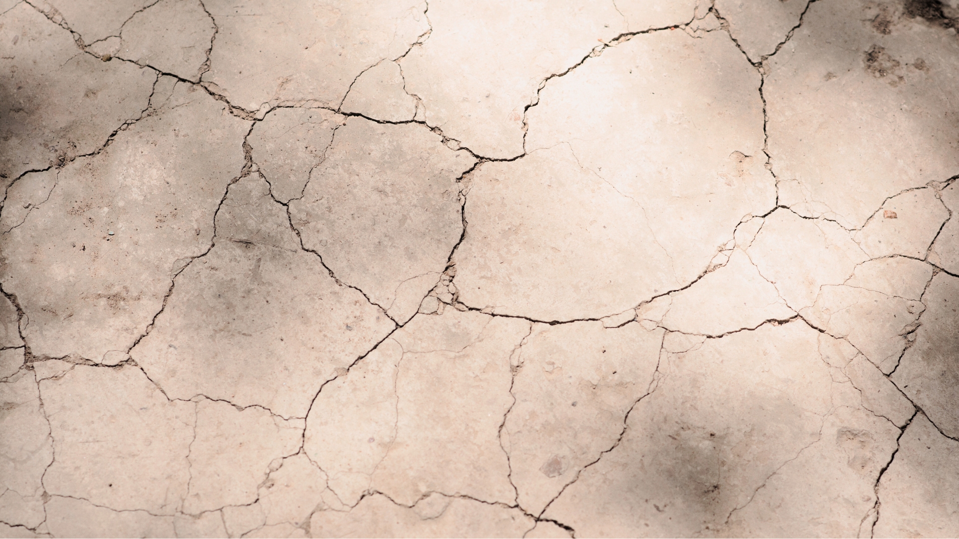 Chinese EV Manufacturers on the Rise: A New Era in the Auto Industry