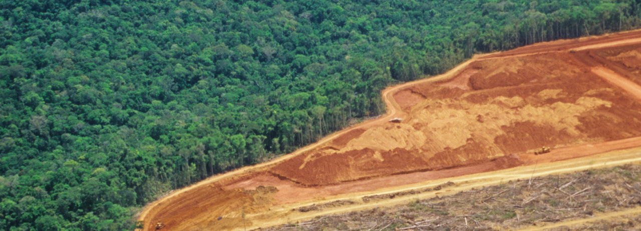 Constructing Zero Deforestation Portfolios to Combat Climate Change and ...