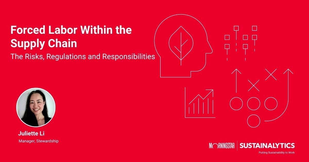 Understanding Forced Labor Risks Within the Supply Chain