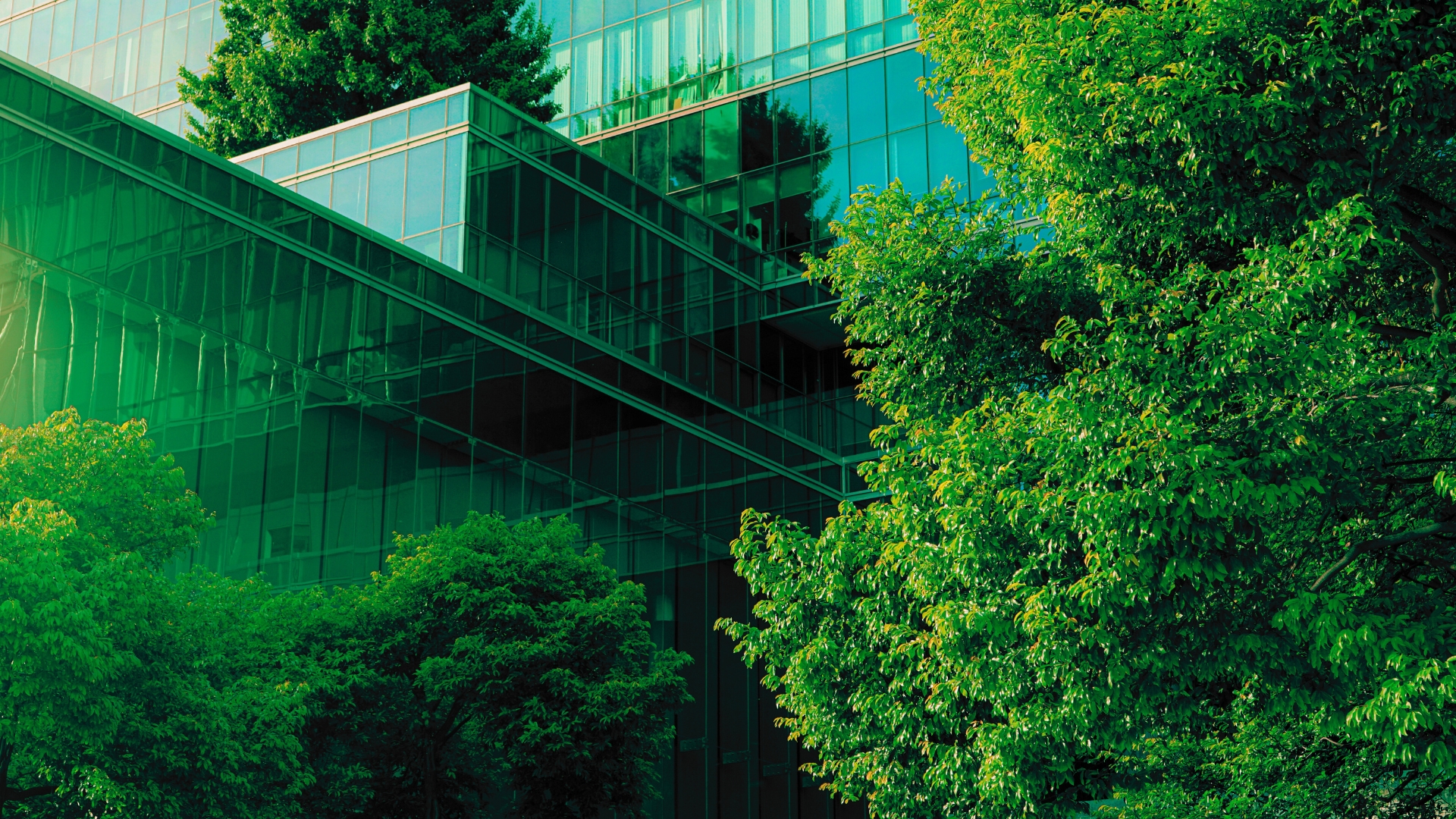 Green Buildings on the Rise: Why Building Products Matter