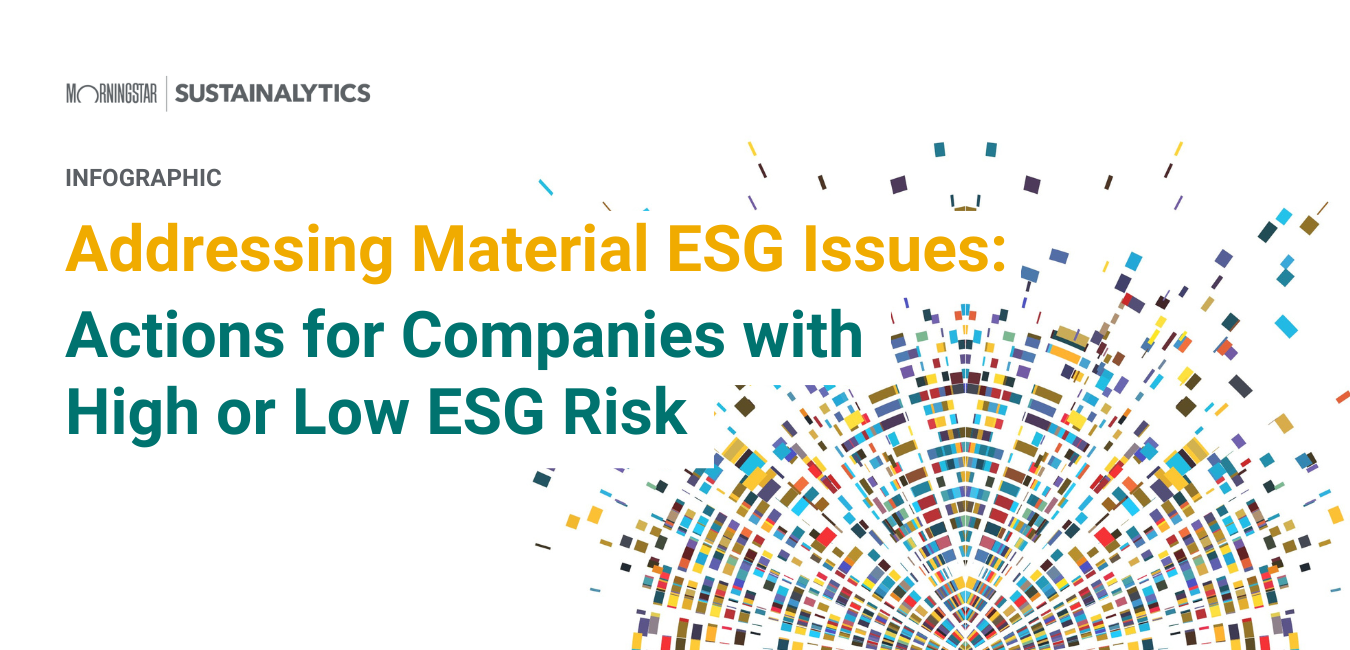 Infographic | Addressing Material ESG Issues: Actions for Companies ...