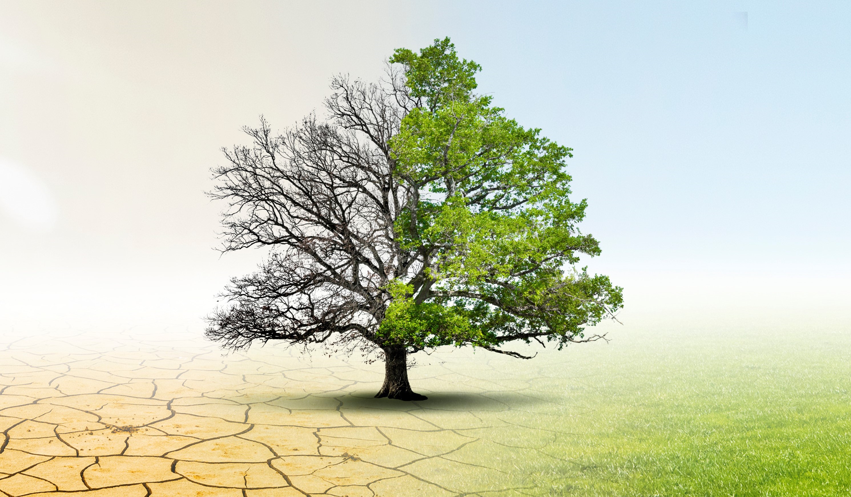 Morningstar Sustainalytics Enhances its Physical Climate Risk ...