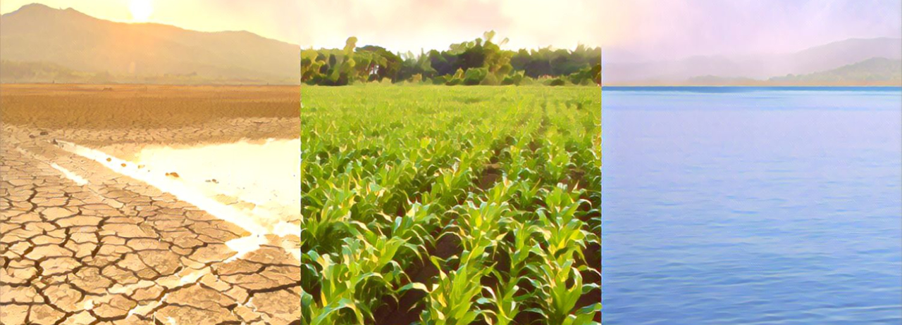 Physical Climate Risks: 6 Things Portfolio Managers Need to Know