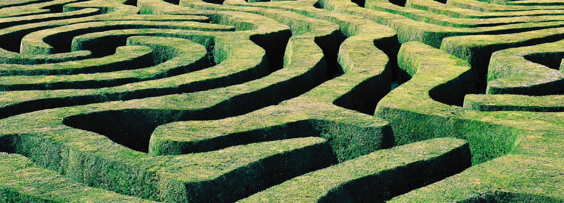 The Current State of EU Taxonomy Alignment in 2024